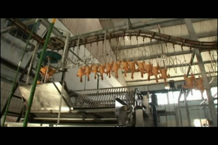 Infraestructura :: Pollos IMBA S.A.